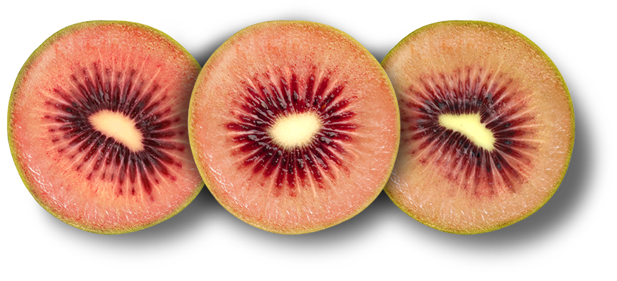 ruby red kiwi